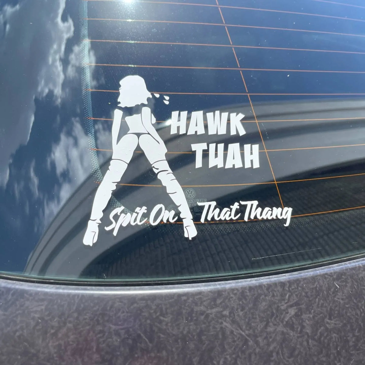 🤣Hawk Tuah Sticker | Spit on That Thang Car – sunnygo