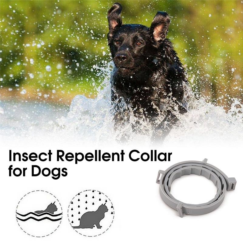 Adjustable Pet Insect Repellent Collar – sunnygo